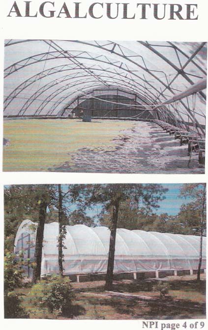 Needful Provision, Inc.